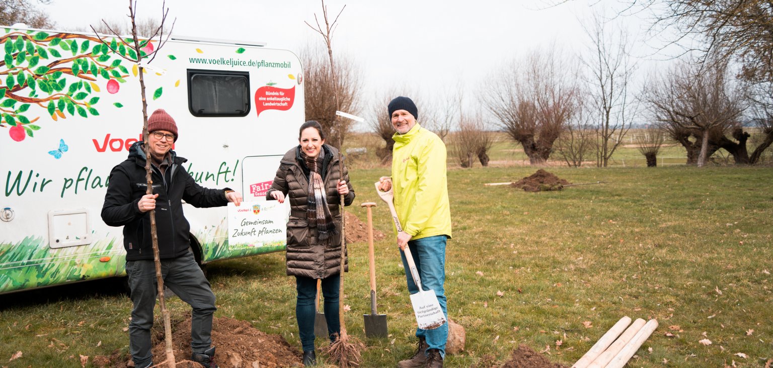 Baumstarke KITA-Pflanzaktion mit QUERBEET und VOELKEL | Stadt ...